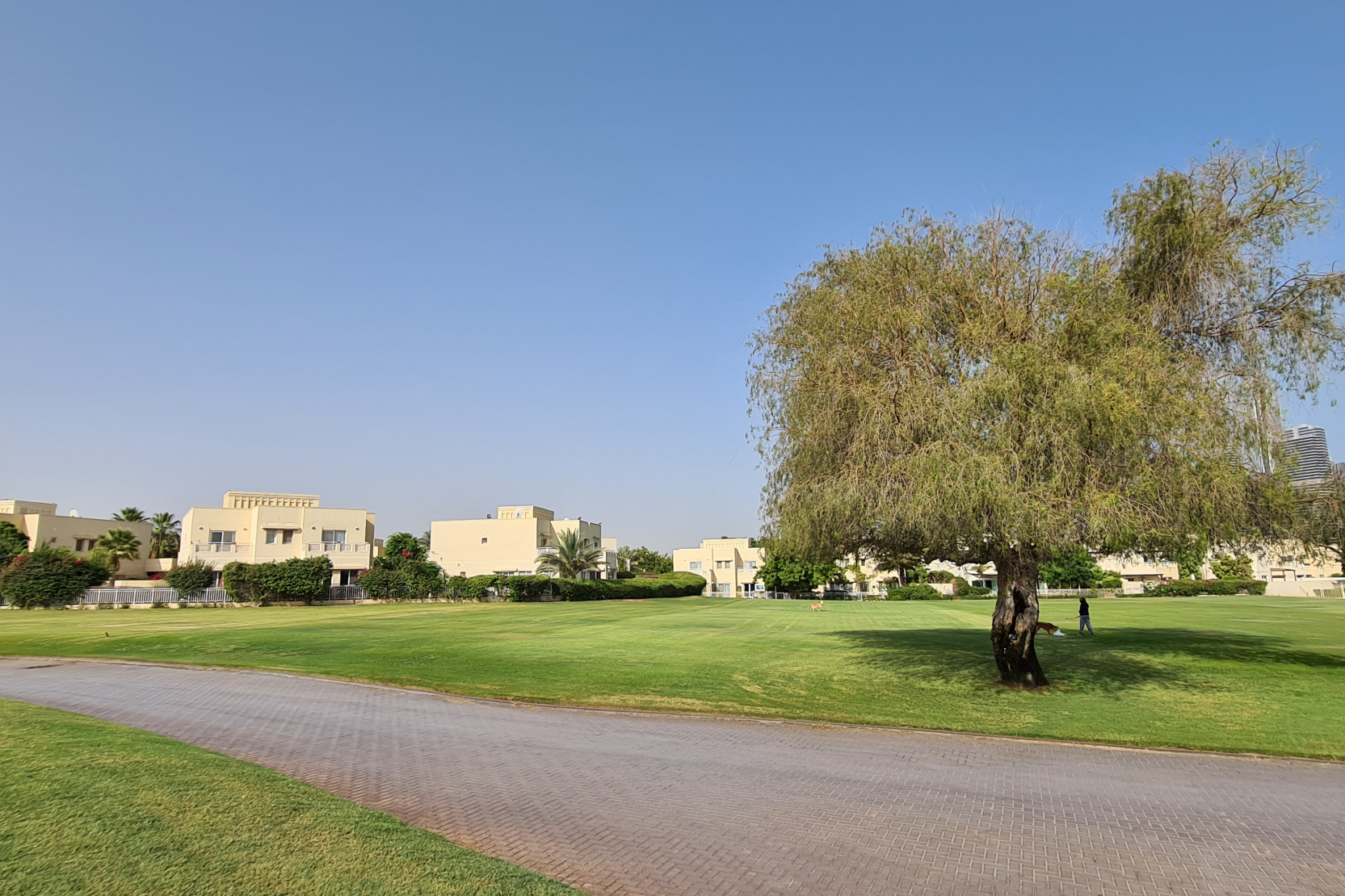 Amazing 3,4,5,6,7 Bedroom Luxury Villa in the Meadows 7